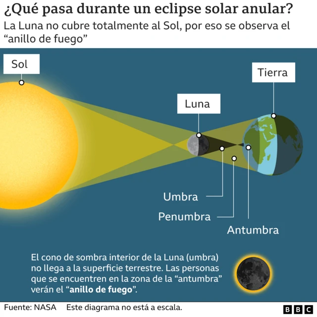 Eclipse solar anular: cómo ver y fotografiar de forma segura el "Anillo de fuego" de este 14 de ...