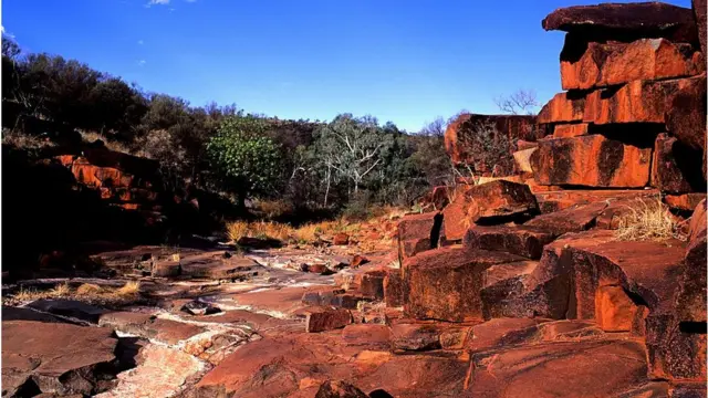 Menjelajahi Pilbara, 'tempat tertua di Bumi' berusia 3,6 miliar di ...