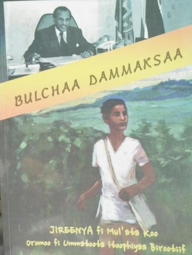 Bulchaa Dammaqsaa: "Oromoon ofii nyaatee saba biraas akka nyaachisun ...