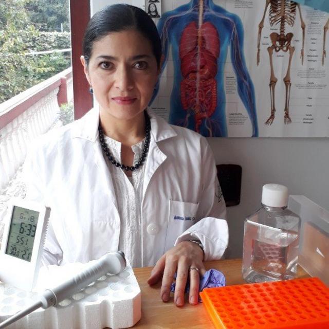 Genoma humano: 5 avances que están transformando la medicina - BBC News Mundo