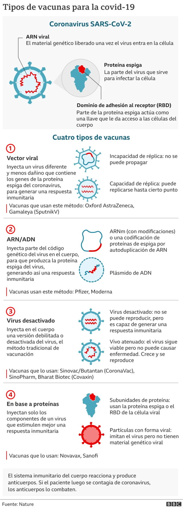 Coronavirus: 4 factores que incrementan el riesgo de contraer covid-19 después de vacunarse ...