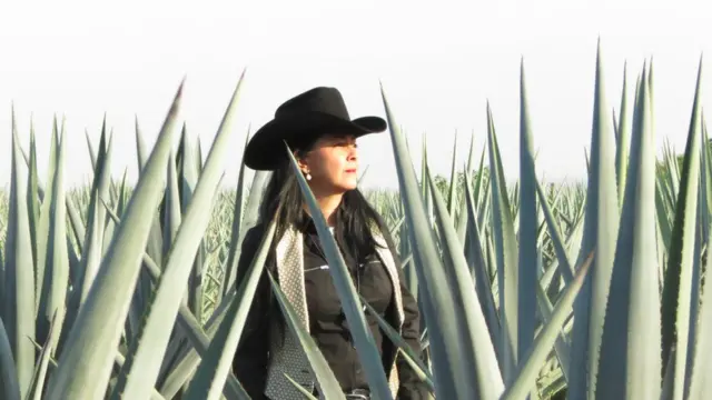 Melly Barajas, "la reina del tequila" que empezó de cero una exitosa ...