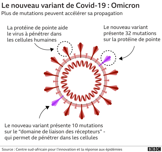 Omicron : quels sont les variants du Covid et les vaccins seront-ils toujours efficaces ? - BBC ...