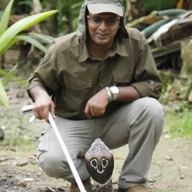 Je, umewahi kusikia kuhusu mamba wanaoishi baharini? - BBC News Swahili