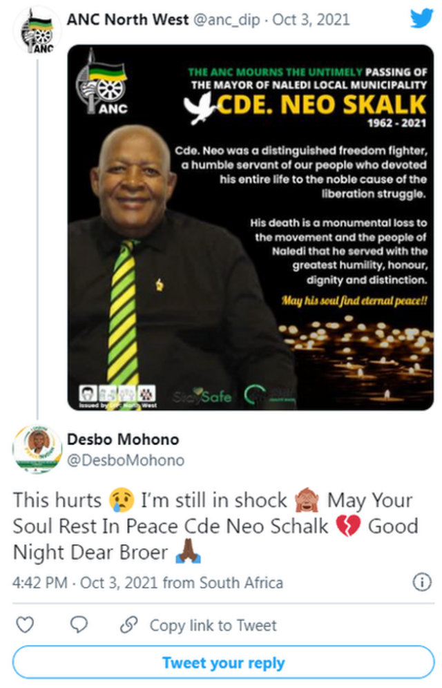 Neo Schalk: South African Mayor die for motor accident - BBC News Pidgin