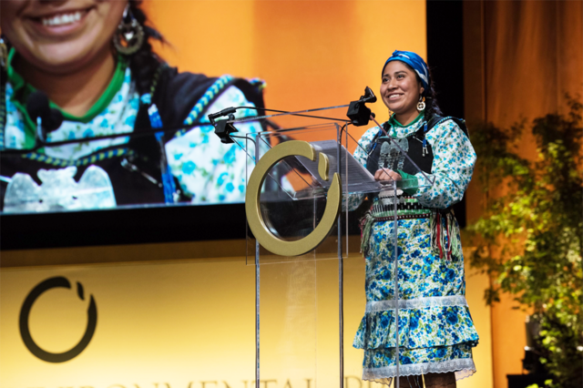 Quién es Alberto Curamil, el líder mapuche chileno premiado con el ...