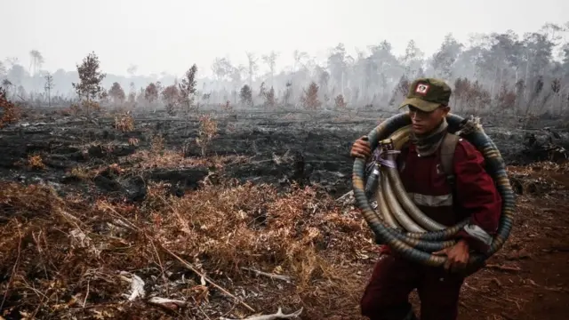 Kebakaran hutan: Sejumlah perusahaan di balik karhutla 2015-2018 lolos dari sanksi serius - BBC ...