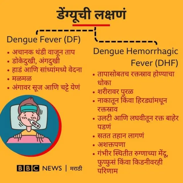डेंग्यू लक्षणं, निदान, उपचार : पावसाळ्यात डास चावल्यामुळे होणारा हा आजार काय आहे? - BBC News मराठी