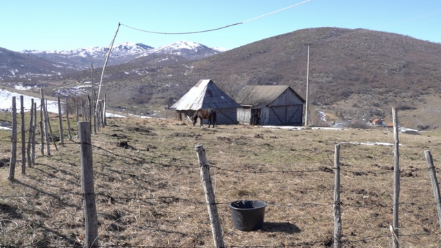 Priroda i Pešterska visoravan: Prolećni pogled na neobično topao ...