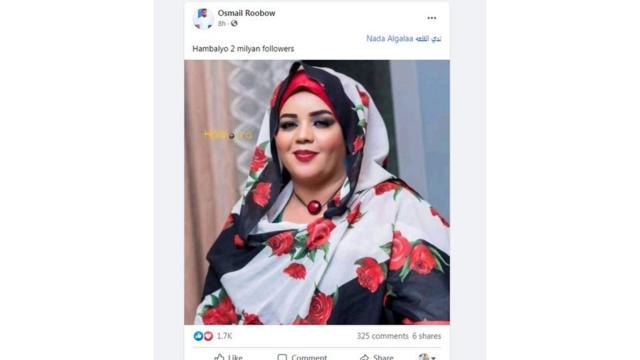 Hadal-haynta Naada Al Qalcah: Fannaanada reer Suudaan iyo Soomaalida ...