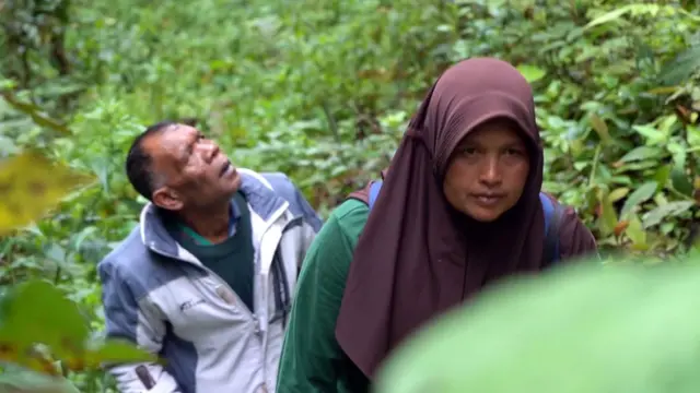 Kisah para perempuan penjaga hutan Aceh: 'Kami lebih didengar oleh para pembalak liar' - BBC ...