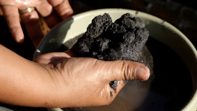 Konflik buaya dan manusia di Indonesia terparah di dunia, ratusan orang kehilangan nyawa ...