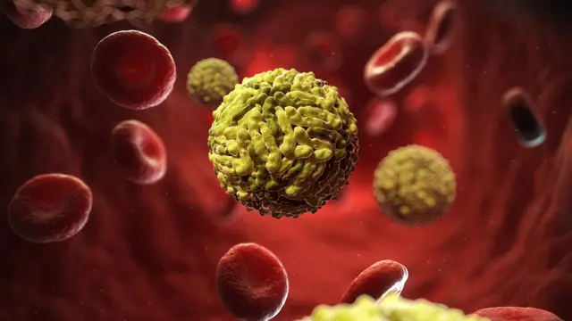 Qué es el dengue, cómo se transmite y cuáles son sus síntomas - BBC News Mundo