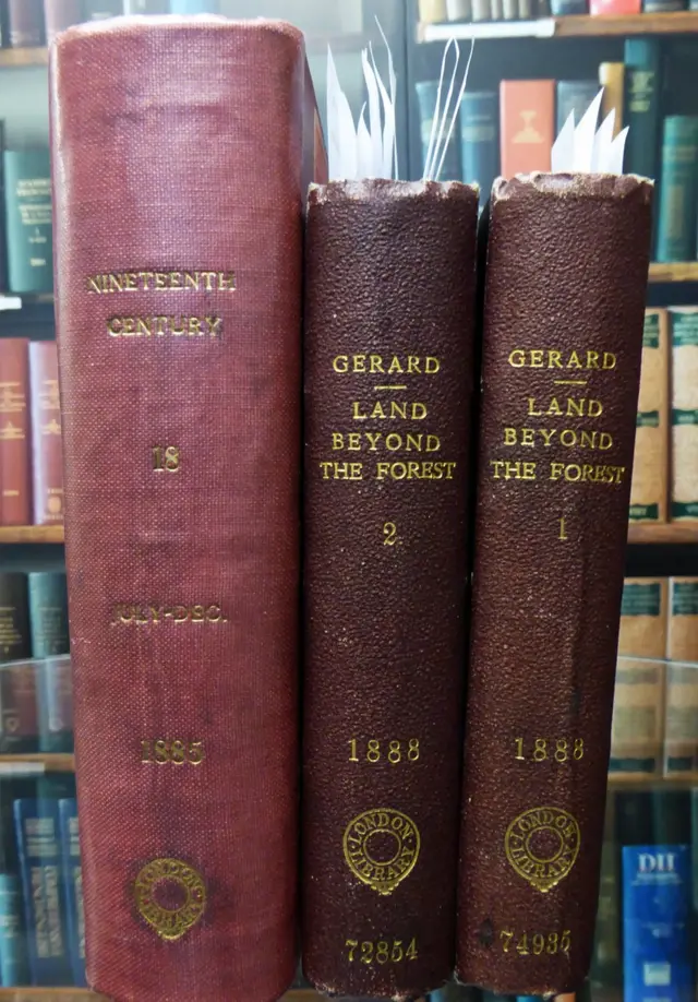 Grof Drakula, vampiri i horor: Škotska spisateljica koja je inspirisala ...