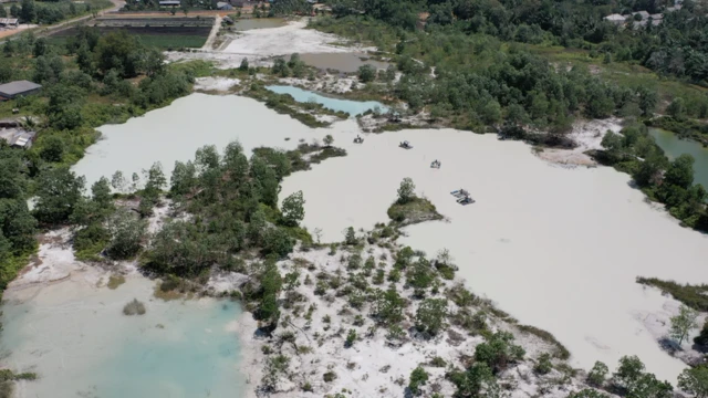 Konflik buaya dan manusia di Indonesia terparah di dunia, ratusan orang kehilangan nyawa ...
