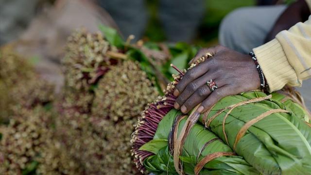 Jaadka Somaliland iyo Puntland: Ma ku adkaatay xakameyntiisa? - BBC ...