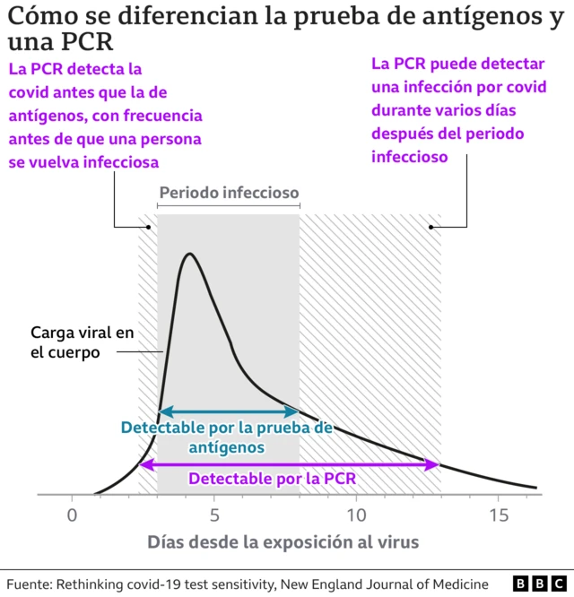 Covid: qué diferencias hay entre una PCR y la prueba de antígenos para detectar el coronavirus ...