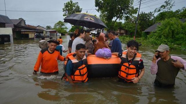 Banjir Sumbar ungkap praktik 'deforestasi yang makin luas di Taman Nasional Kerinci Seblat ...
