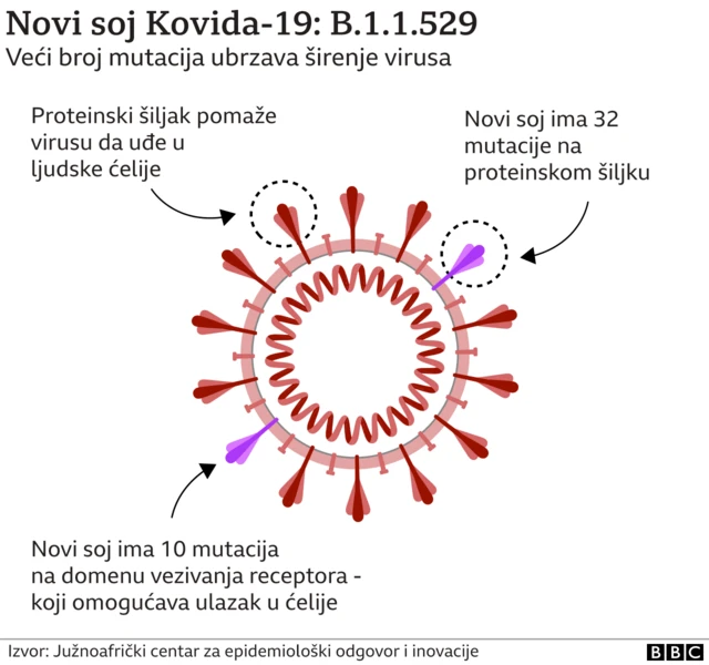 Korona virus i omikron: Šta do sada znamo o novom soju - BBC News na srpskom