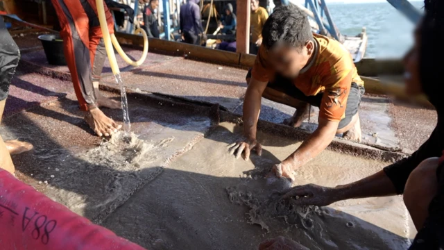 Konflik buaya dan manusia di Indonesia terparah di dunia, ratusan orang kehilangan nyawa ...