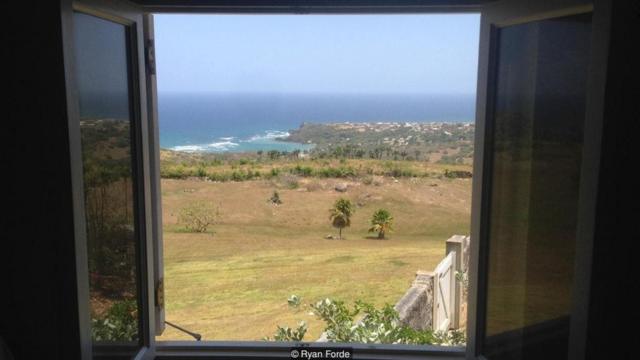 Những khung cảnh làm việc đẹp như mơ - BBC News Tiếng Việt