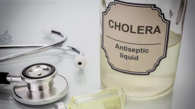 Cholera outbreak: NCDC place Nigeria on 'high risk', activate national cholera emergency ...