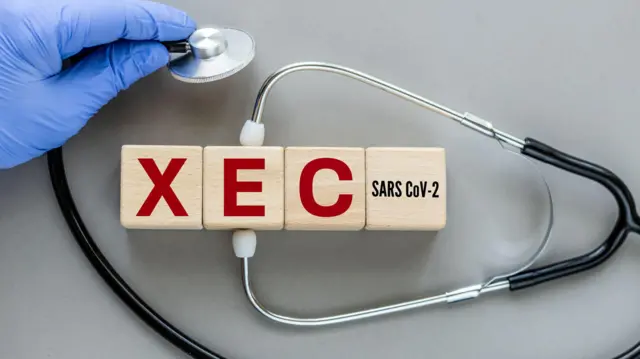 Covid-19 variant XEC: Wetin to know about new covid variant - BBC News ... Covid-19 variant XEC: Wetin to know about new covid variant - BBC News ...