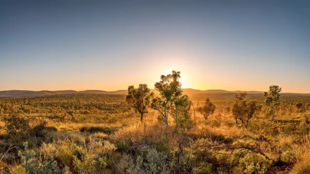 Le Pibara en Australie : l'extraordinaire beauté de cet endroit où se ...