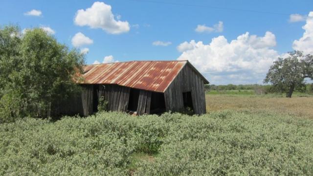 El esclavo de Texas que se hizo millonario haciéndose pasar por ...