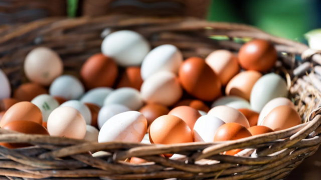 Vegan olmak sağlığa yararlı mı? - BBC News Türkçe