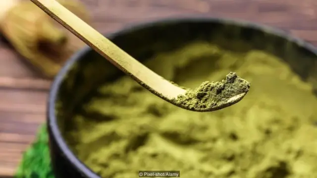 Di balik tren matcha yang mendunia, ada tradisi budidaya teh Jepang ...