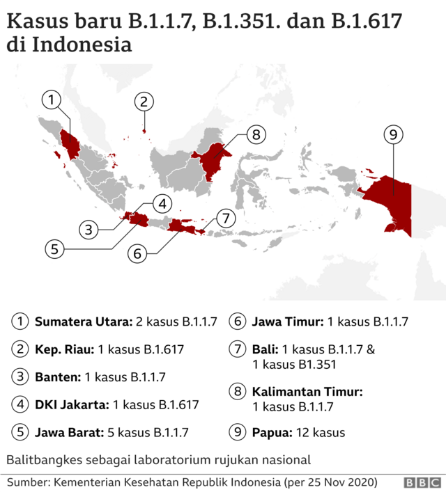 Varian baru Covid dari India, Afrika, dan Inggris masuk Indonesia: Apa bahayanya dan bagaimana ...