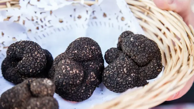 澳大利亚：昂贵食材松露的新生产地 - BBC News 中文