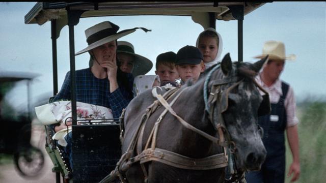 Cuál es el origen de los menonitas, la comunidad ultrarreligiosa ...