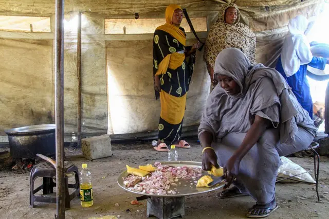 Ciidamada RSF ee Suudaan oo ku dhawaaqay dowlad gaar ah - BBC News Somali