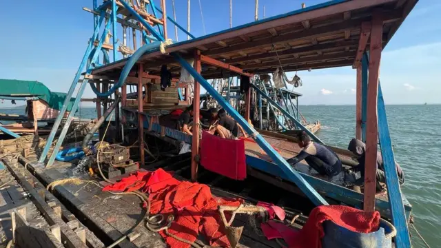 Konflik buaya dan manusia di Indonesia terparah di dunia, ratusan orang kehilangan nyawa ...