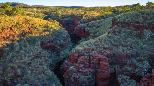 Le Pibara en Australie : l'extraordinaire beauté de cet endroit où se ...
