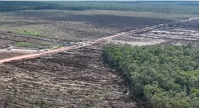 Masyarakat adat Papua: Suku Malind Anim 'sedang dalam pemusnahan ...