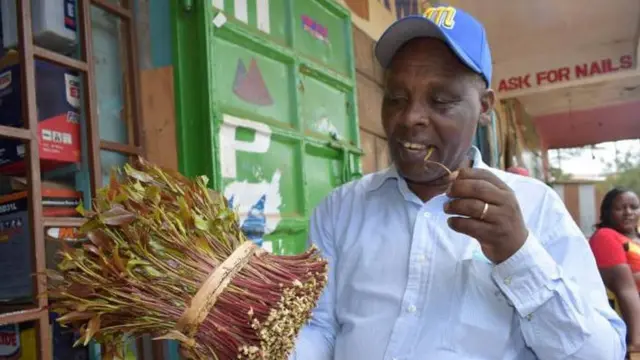 Jimaa qama'uun fayyaa sammuu ni miidhaa? - BBC News Afaan Oromoo