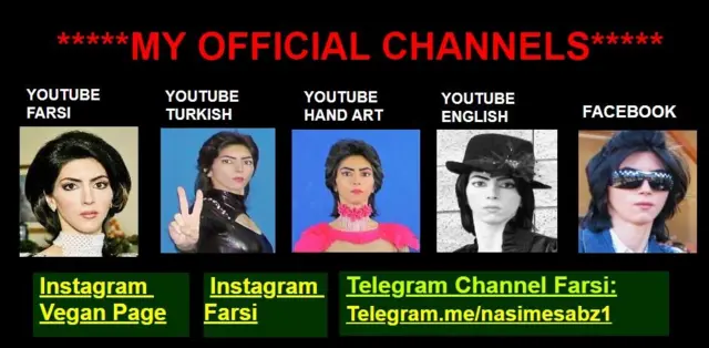 Nasim Najafi Aghdam: Türkçe videolar da üreten YouTube saldırganı - BBC ...