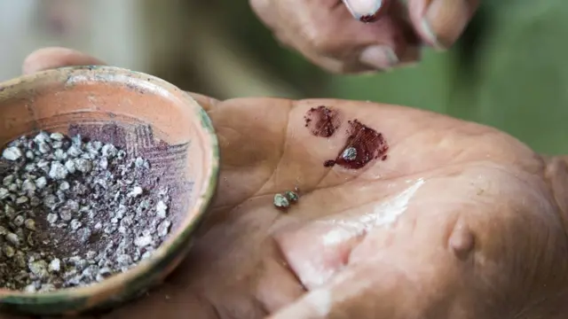 what beetles are used for food coloring