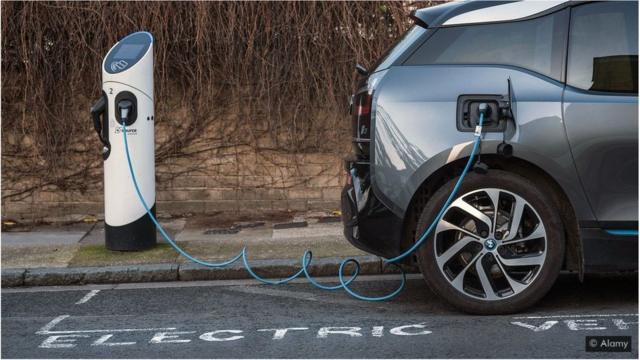 Como a fruta mais fedida do mundo pode ajudar a gerar energia para seu ...