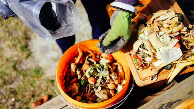 Qué es el bokashi, el moderno abono orgánico japonés que fue impulsado ...