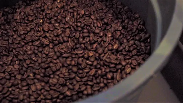 Perubahan iklim membuat kopi arabika berkualitas tinggi semakin sulit ...