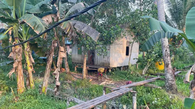 Papua: Mengapa gizi buruk masih menghantui Asmat? - Cerita dari kampung terpencil di pedalaman ...