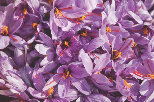 Afya: Faida za kiafya usisozijua za viungo vya mchuzi - BBC News Swahili