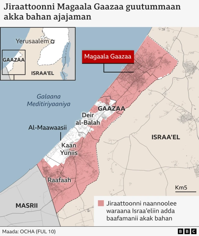 Suuraadhaan: 'Haleellaa cimaa lafoo Israa'el labsite jidduutti 'Gaazaa ...