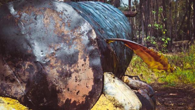 Oil theft in Niger Delta: Wetin we know about di 'big illegal crude oil vessel' NNPCL catch and ...