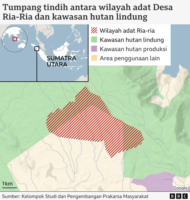 Food Estate Sumatra Utara: Perjuangan perempuan Desa Ria-Ria di lumbung ...