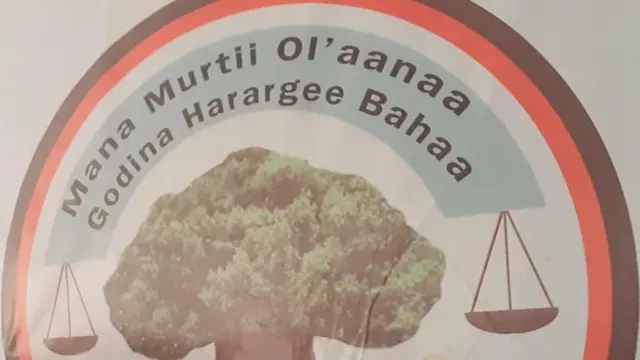 Namichi daa'ima isaa ji'a sadii gudeeduun himatame hidhaa waggaa 24'n ...